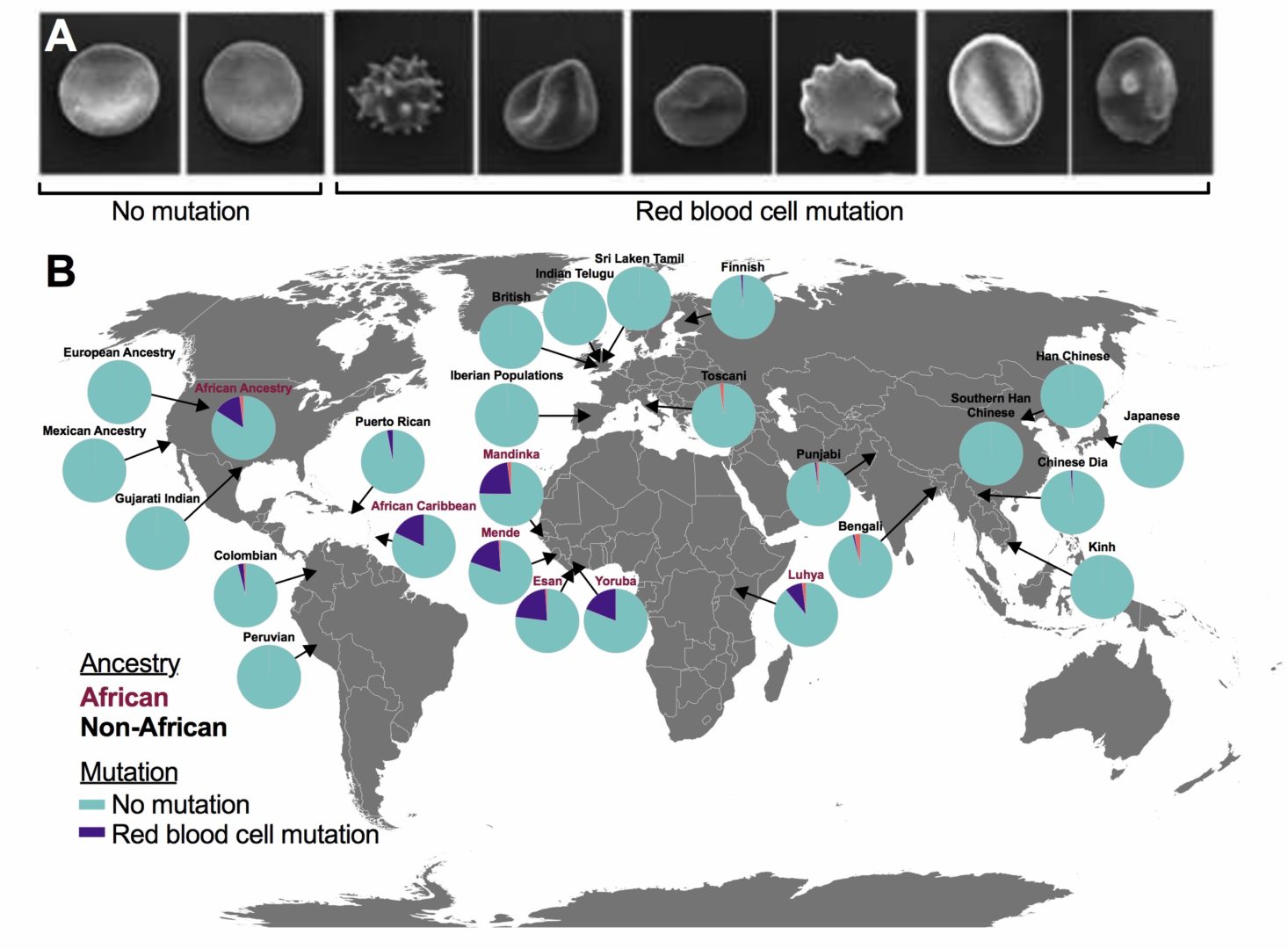 blog-figure | Grubaugh Lab